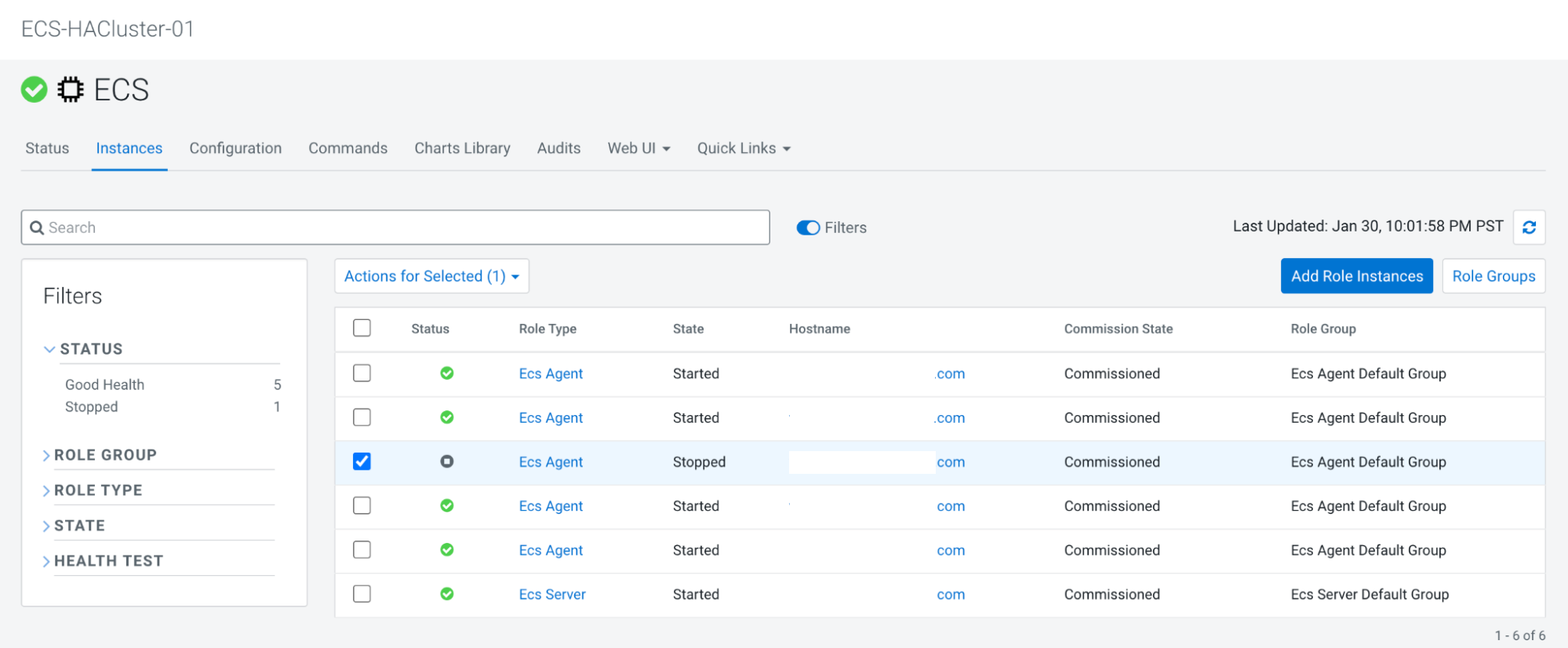 Promoting ECS Agents to ECS Servers